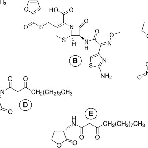 Molecular Structure Of Ligands Molecular Structure Of A Puromycin Download Scientific