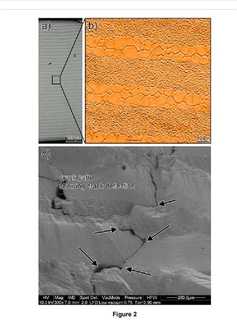 Figure 2 From Hierarchically Structured Biomaterials For Tissue Engineering Semantic Scholar