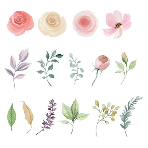 Set Of Watercolor Flower And Leaf Elements Elements Flowers