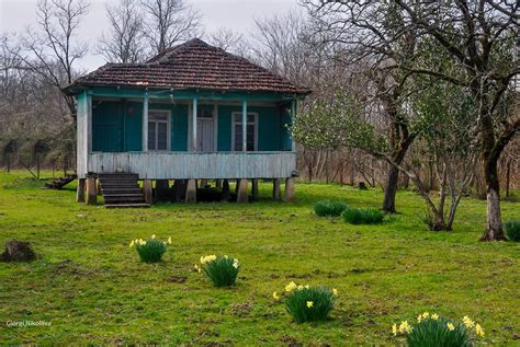 მეგრული ოდა სახლები ზოგი დანგრეული ზოგი დანგრევის პირას მაგრამ მაინც ლამაზი