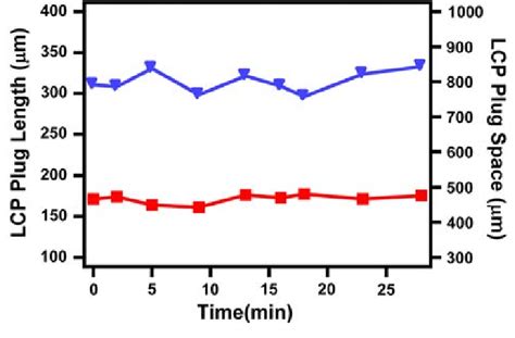LCP Plugs Formed Consistently In The Flow Focusing Device The Flow Download Scientific Diagram