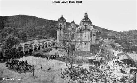 50 Best Historia De Tequila Jalisco Mexico Images On Pinterest