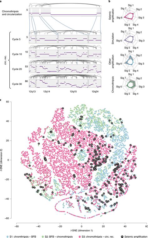 Validation Of The Evolutionary Model Of Seismic Amplification By Download Scientific Diagram