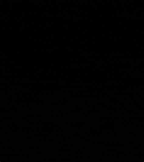 Aio React Native And Next Template