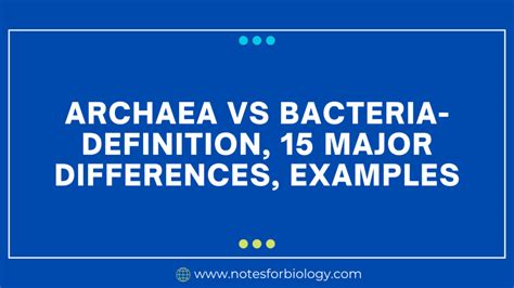 Archaea And Bacteria
