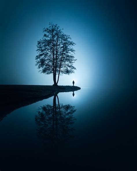 Доброй ночи всем 2025 Стая Ёжики в Тумане ВКонтакте