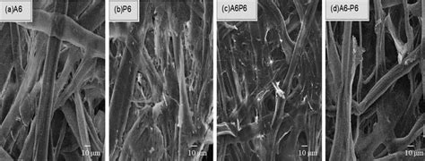 Scanning Electron Micrographs Of A A6 B P6 C A6p6 And D Download Scientific Diagram