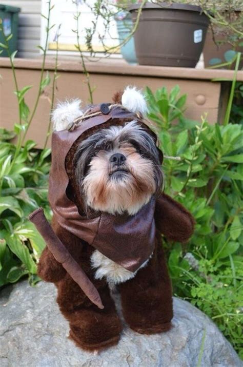 Ewok Puppy Ewok Dog Costume Dog Halloween Dog Costumes