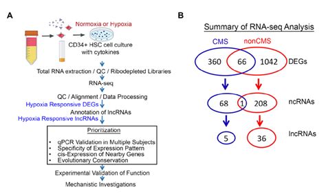 Schematic Illustration Of The Experimental Strategy And Summary Of Download Scientific Diagram