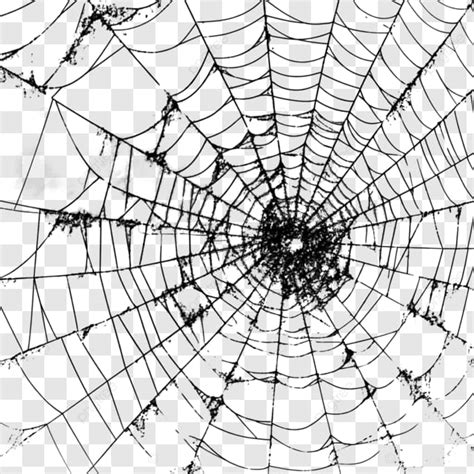 거미줄 장식 할로윈 축하 거미줄 장식 할로윈 Png 일러스트 및 Psd 이미지 무료 다운로드 Pngtree