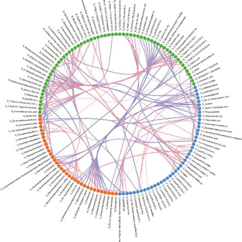 The Correlation Network Diagram Of Various Metabolites From Three Types Download Scientific
