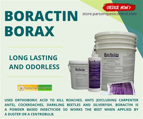 Boractin Borax Kill Roaches Carpenter Ant How To Apply