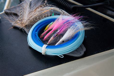 Striped Bass Blitz Cortland Line Company