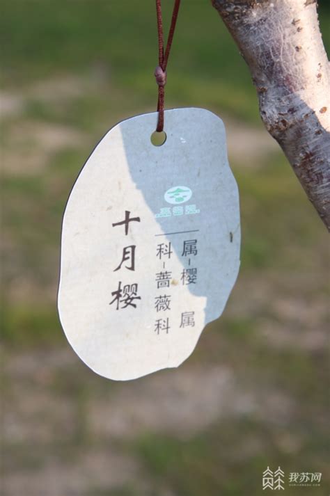 学习强国学习平台