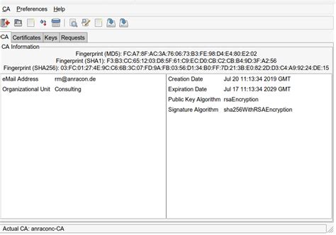 TinyCA2 As A Replacement For YaSTs CA Tools On Opensuse Leap Servers With TLS SSL I Linux