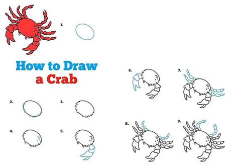 43 Easy And Cute Crab Drawing Ideas Drawing Photos