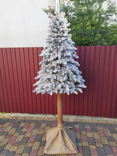 ᐉ Лита ялинка Тріумф на пні на натуральному стовбурі засніжена 2 м на пні Тріумф Засніж 200