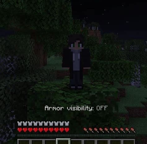 Hidden Armor Gallery