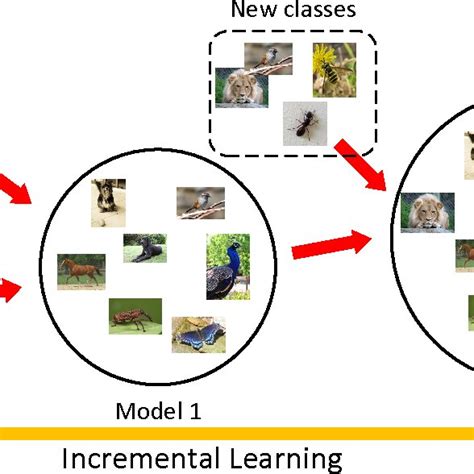 example of incremental learning in multiclass classification on images