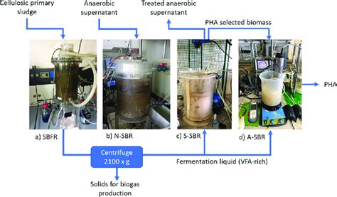 Overall Laboratory Scale Configuration Of The Sequencing Batch Reactor Download Scientific