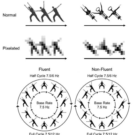 Stimuli And Paradigm The Top Shows The Four Types Of Stimuli Used In