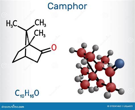 Camphor Molecule It Is Terpenoid And A Cyclic Ketone Structural Chemical Formula And Molecule
