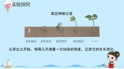科学大象版2017秋三年级下册3 2 播下希望的种子课件16张PPT 21世纪教育网 二一教育