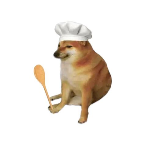 Смешная фотография собаки в шапке повара