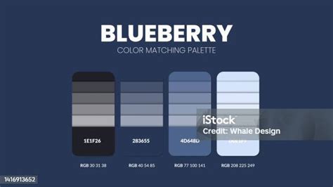 블루베리 컬러 가이드 책 카드 샘플 색상 테마 팔레트 또는 색 구성표 컬렉션입니다 Rgb 또는 Hex의 색상 조합 패션 또는 디자인을위한 트렌드 컬러 견본 카탈로크 영감