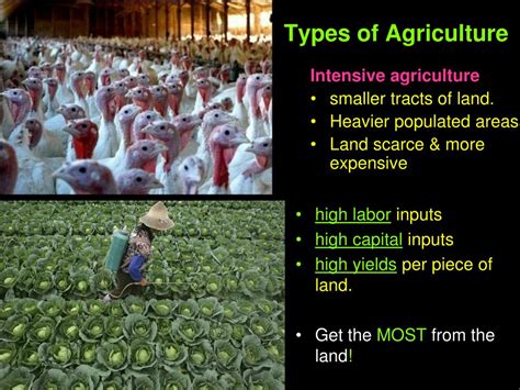 What Is Agriculture Types At Paul Harlan Blog