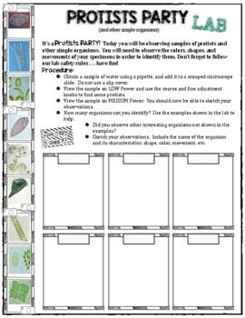 Protists Party LAB Activity By Slaying Mantis TPT