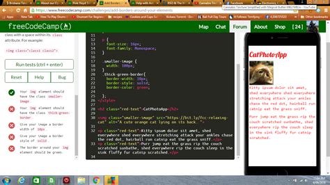 Help With Add Borders Around Your Elements Project The Freecodecamp Forum