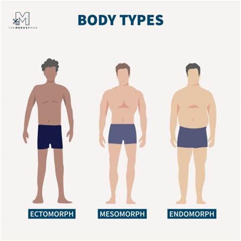 Male Endomorph Body Type Harnessing Your Strong Build The Modest Man