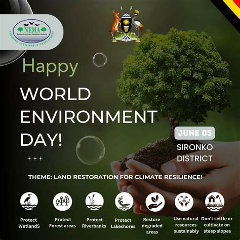 How To Boost Land Resilience On World Environment Day Okoth Asaph
