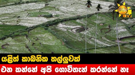 යළිත් කාබනික තල්ලුවක් එන කන්නේ අපි ගොවිතැන් කරන්නේ නෑ Hiru News Youtube
