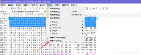 010editor查看pe、exe文件 010editor打开exe csdn博客