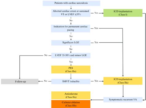 Suggested Treatment Algorithm For Patients With Clinically Manifested