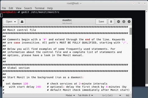 install monit a process and service monitoring tool on kali linux
