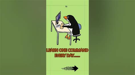 Learn One Command Every Day 73 Linuxtutorial Linuxcommandlinetutorial Linuxcommands Youtube