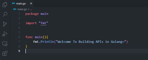 GitHub Mr Manna Go Api
