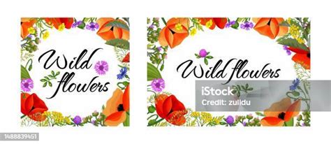 야생화가 있는 엽서 템플릿입니다 칭찬 초대 인사를 위한 둥근 프레임의 꽃 그림 개화기에 대한 스톡 벡터 아트 및 기타 이미지 개화기 계절 곡초류 Istock
