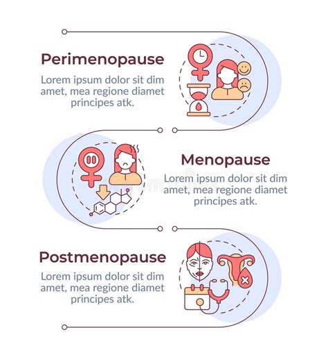 Stages Of Menopause Infographic Vertical Sequence Stock Vector Illustration Of Template