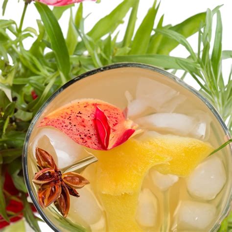 Adaptogenic Drinks The New Way To Boost Your Health — Coy Cordials