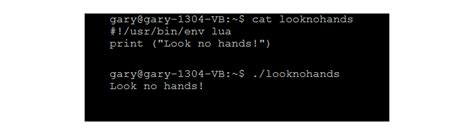 Writing Your First Lua Program On Linux Make Tech Easier