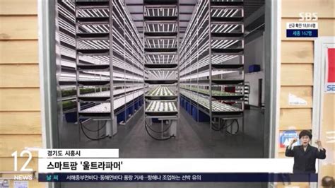 울트라파머 도심에서도 농사를 스마트팜수경재배 수직농장 주목