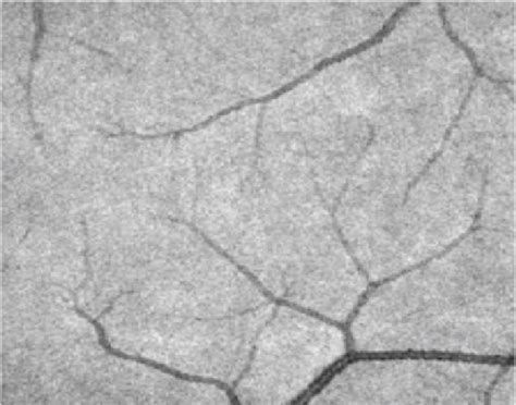 Before Normalization A Time Series Of Data Comparing The Average Download Scientific Diagram