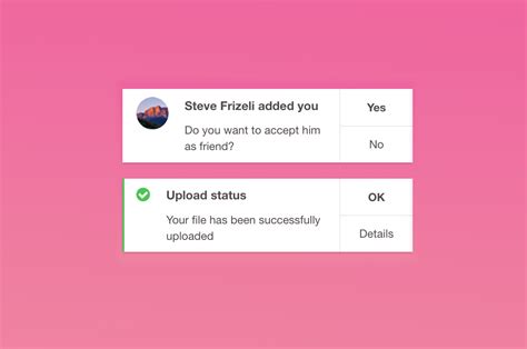 Reapop Notification System Made With React Js