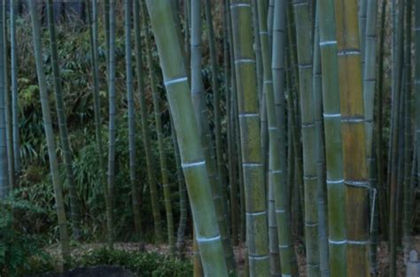 Freezedで使用するjsonconverterを詳しく書く│flutter Salon