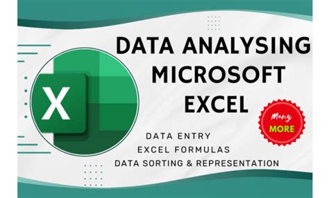 Data Analysis In Ms Excel Data Cleaning In Microsoft Excel Freelancer