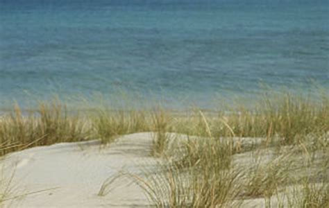 Watch Couple Get Confronted While Having Intercourse On A Packed Public